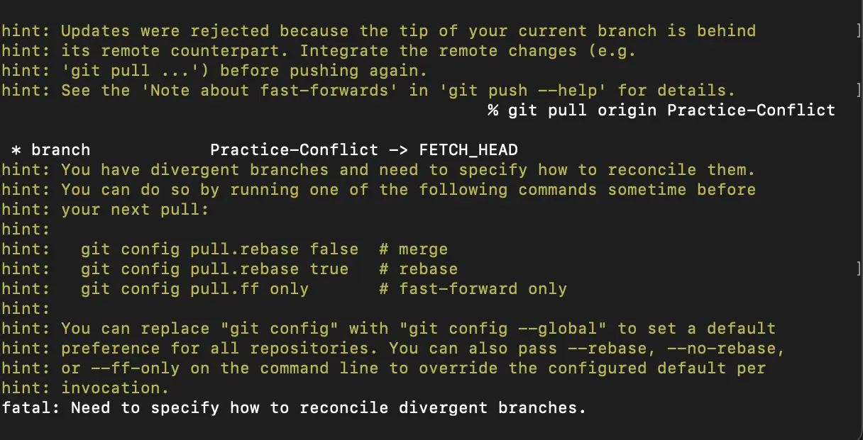 Git Protocol and Usage